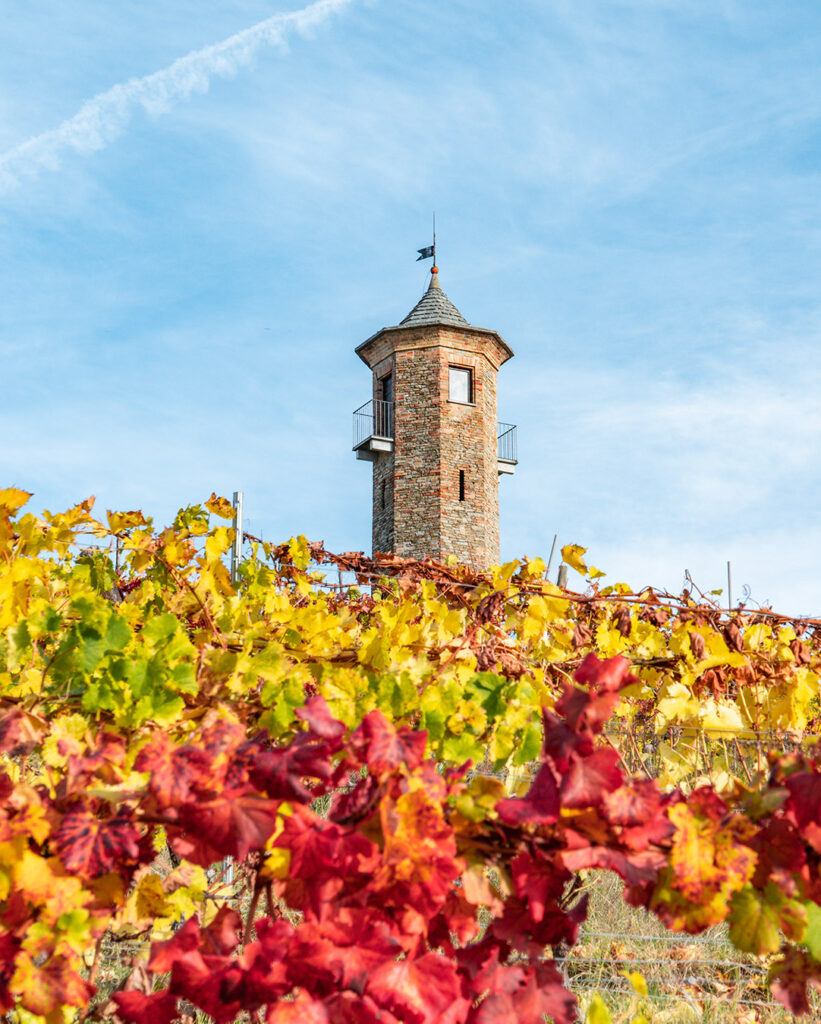 TORRE DEI CONTINI: LUOGO FIABESCO NEL MONFERRATO